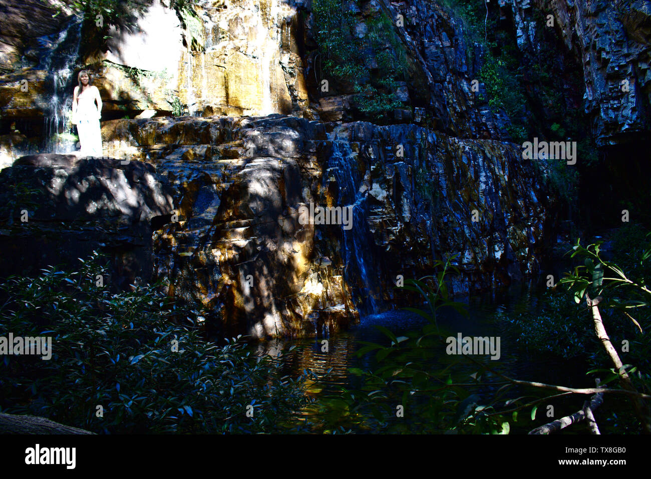 Textures of Brazilian Savanna Stock Photo - Alamy