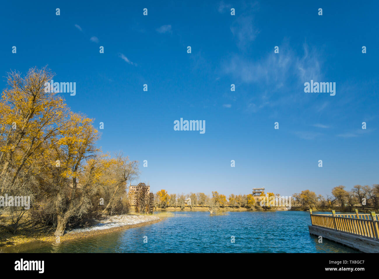 Poplar Lin, lake, reflection, beautiful scenery Stock Photo - Alamy