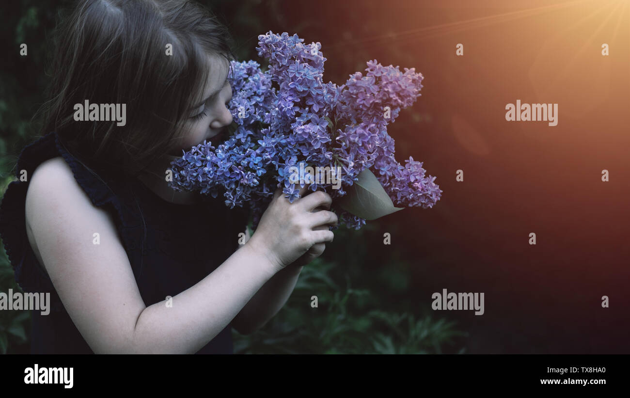 Cute little girl smelling lilac. Person holding flowers on dark natural ...