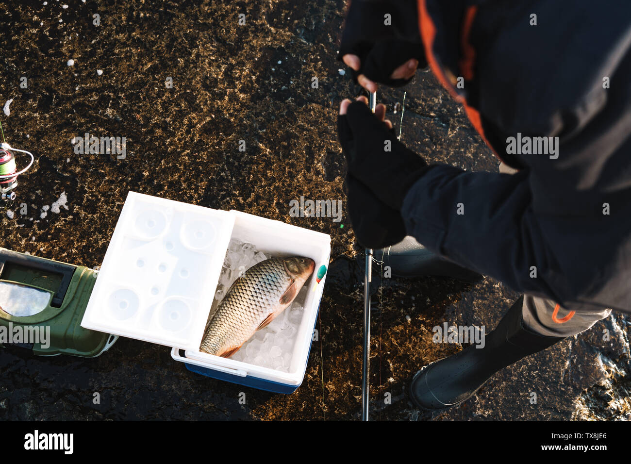 Fish in cooler hi-res stock photography and images - Alamy
