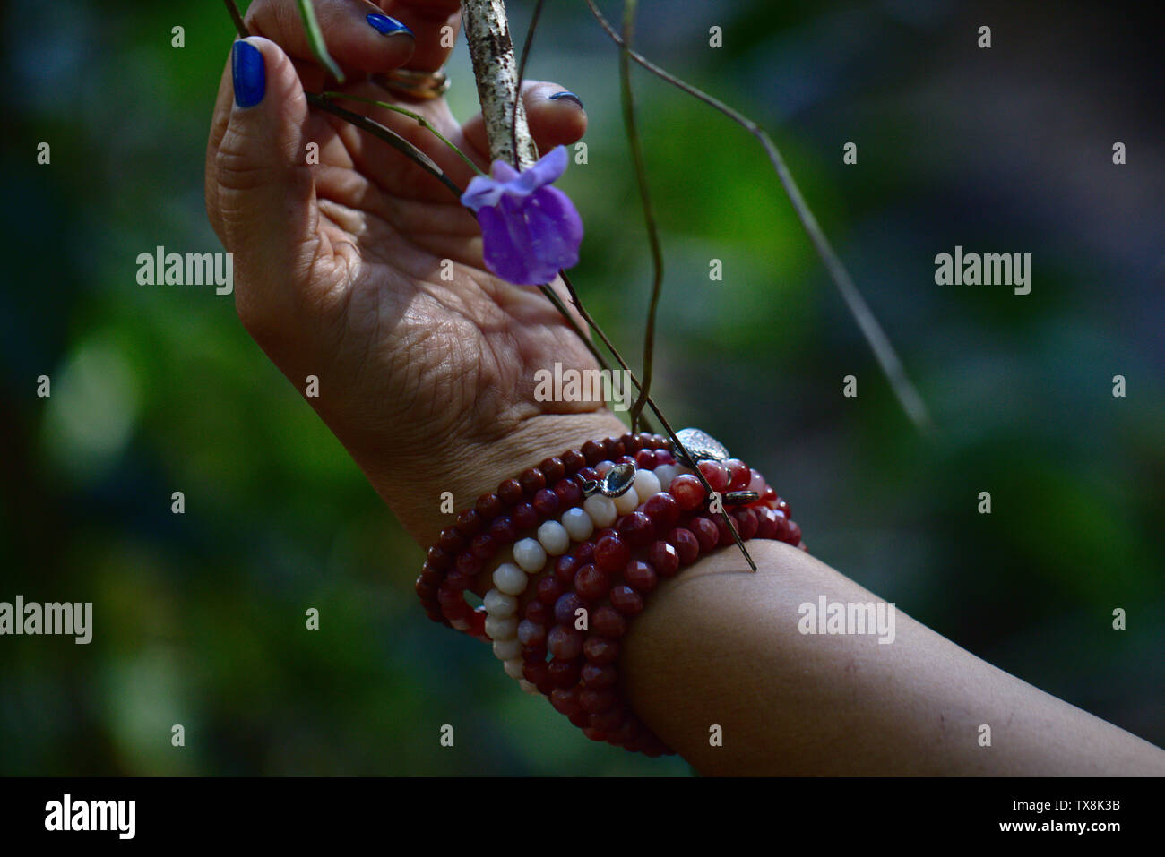 Hand on Flower Stock Photo - Alamy
