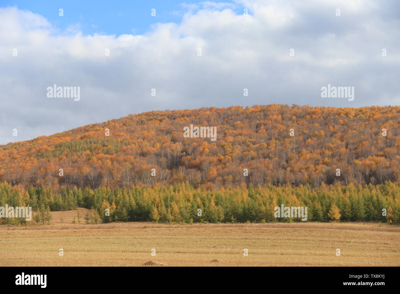 Prairie scenery on the dam Stock Photo - Alamy