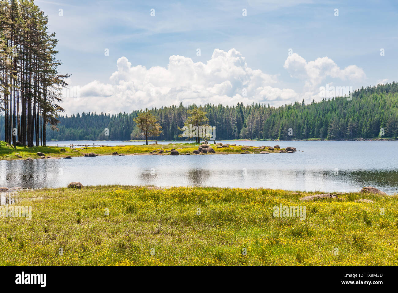 Shiroka polyana hi-res stock photography and images - Alamy
