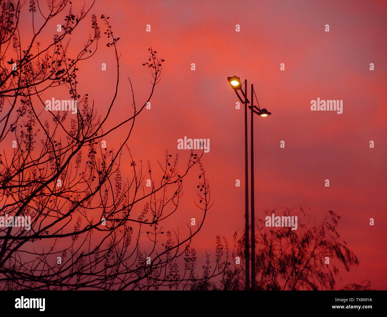 Warm tone scenery hi-res stock photography and images - Alamy