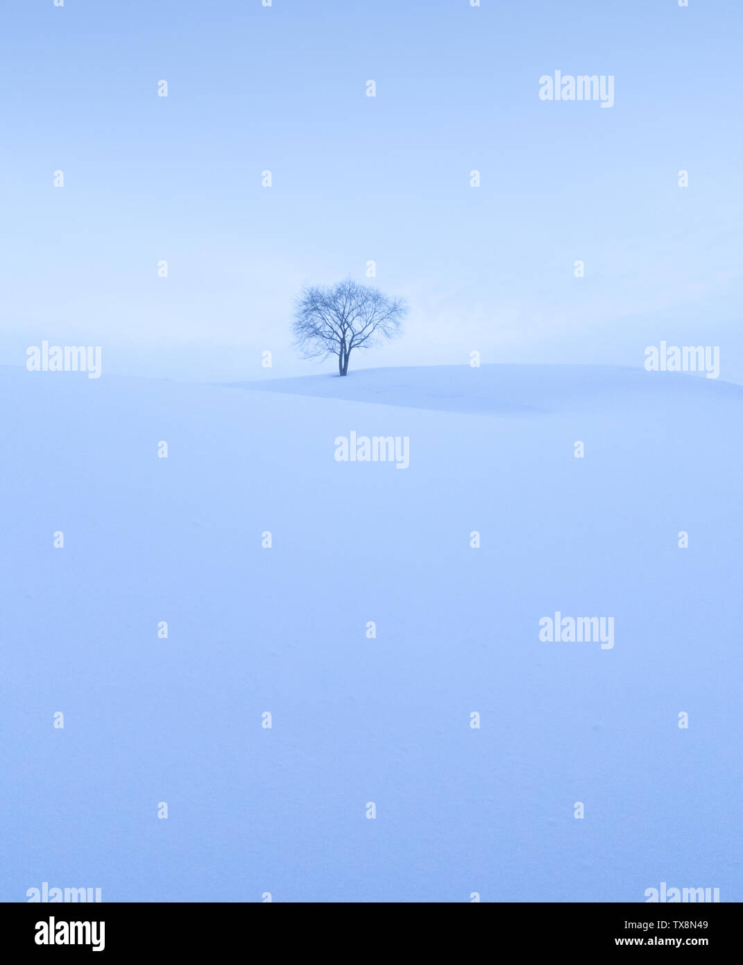 Cold Screensaver Wallpaper High Resolution Stock Photography and Images ...