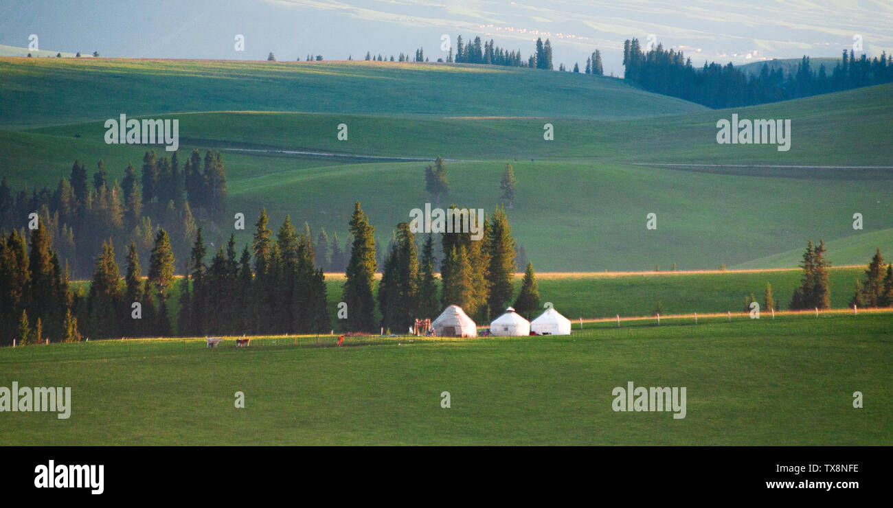 Agricultural farms dry grassland farms hi-res stock photography and ...