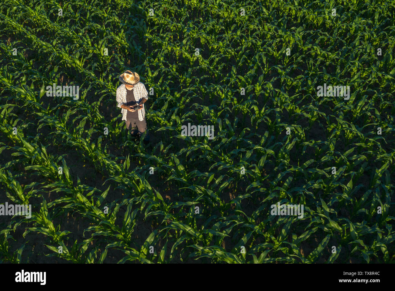 Modern agriculture hi-res stock photography and images - Alamy