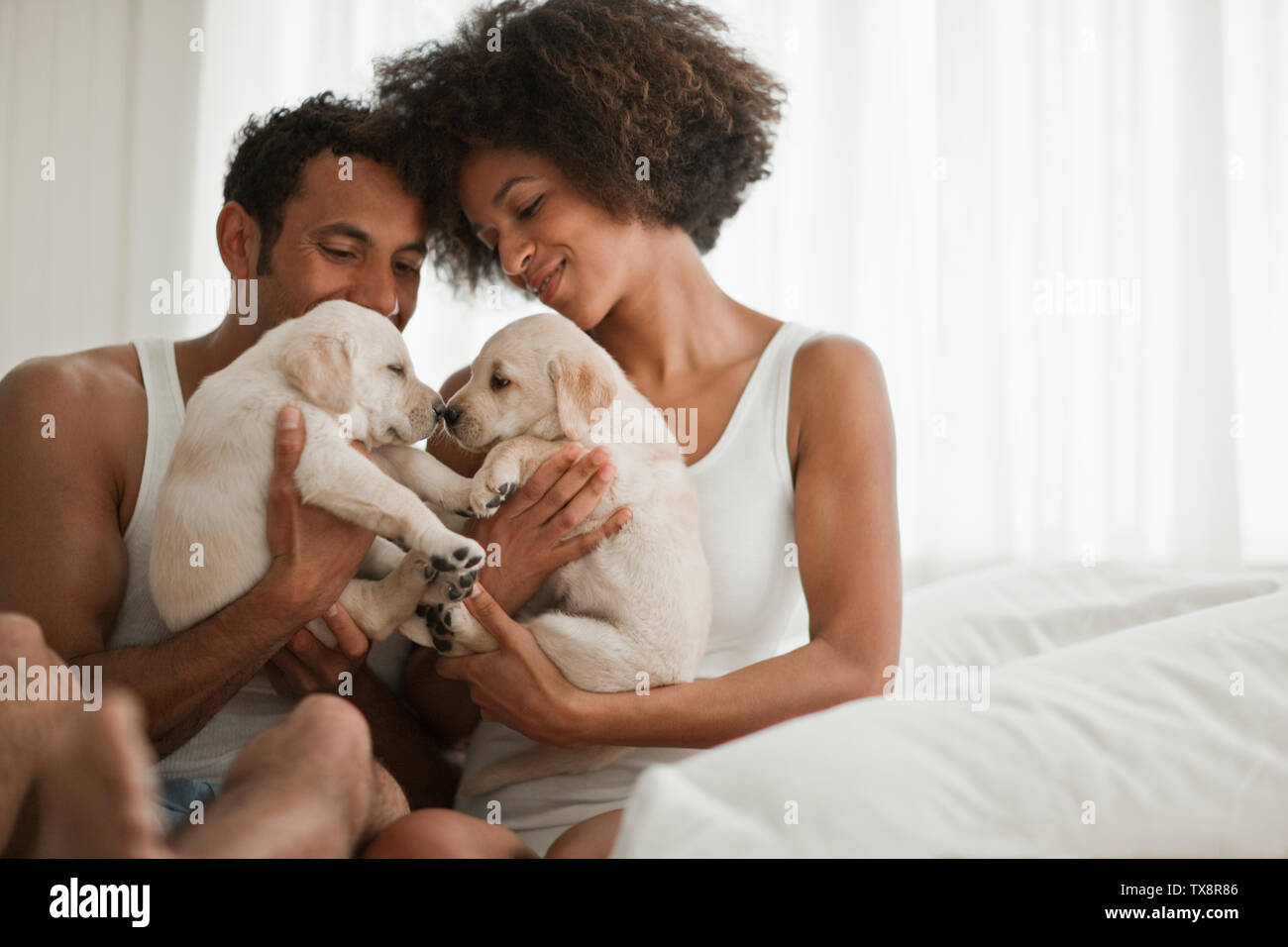 Couple holding Labrador puppies face to face Stock Photo - Alamy