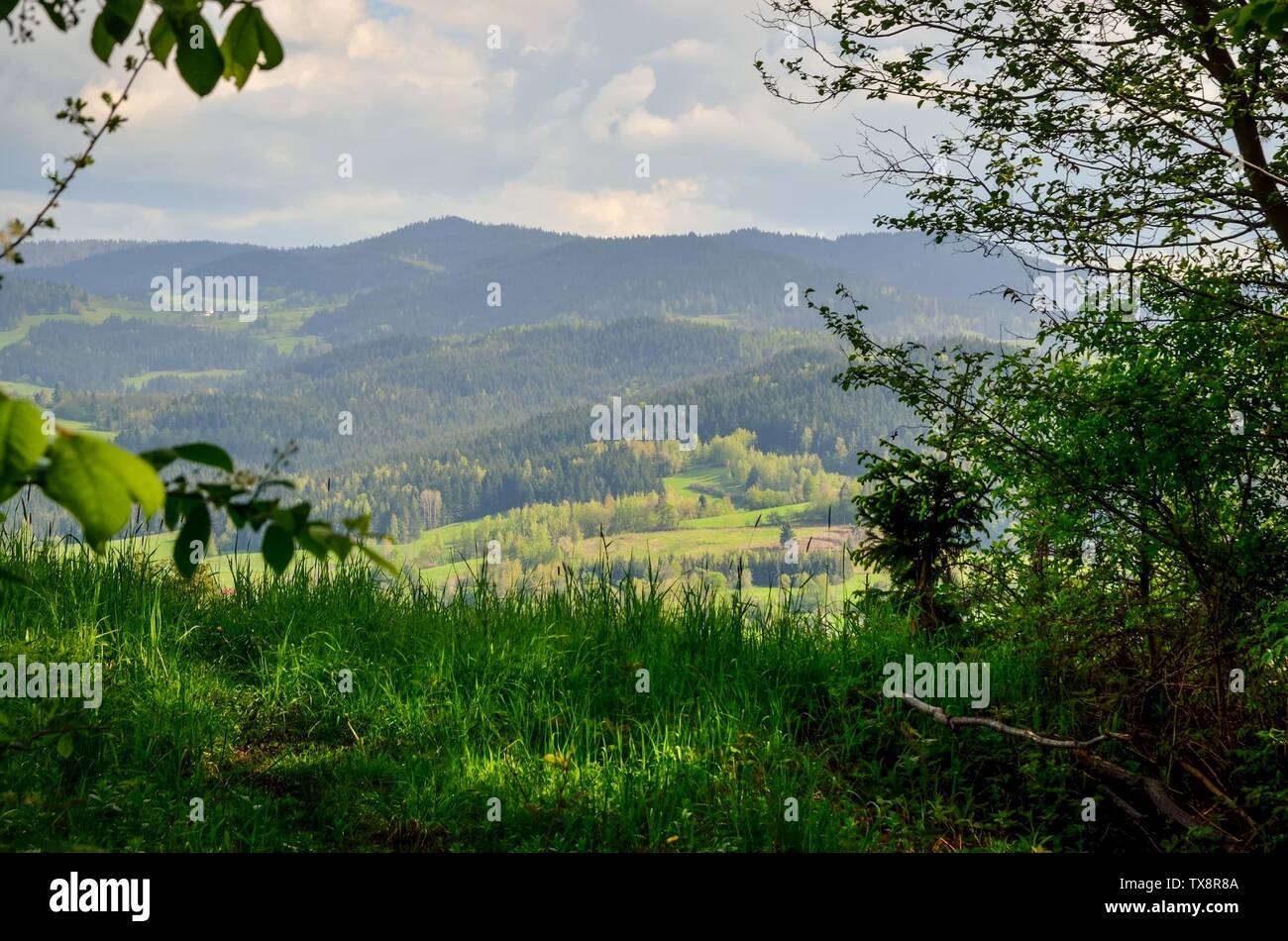Beautiful spring mountain landscape. Charming views of the hills with ...