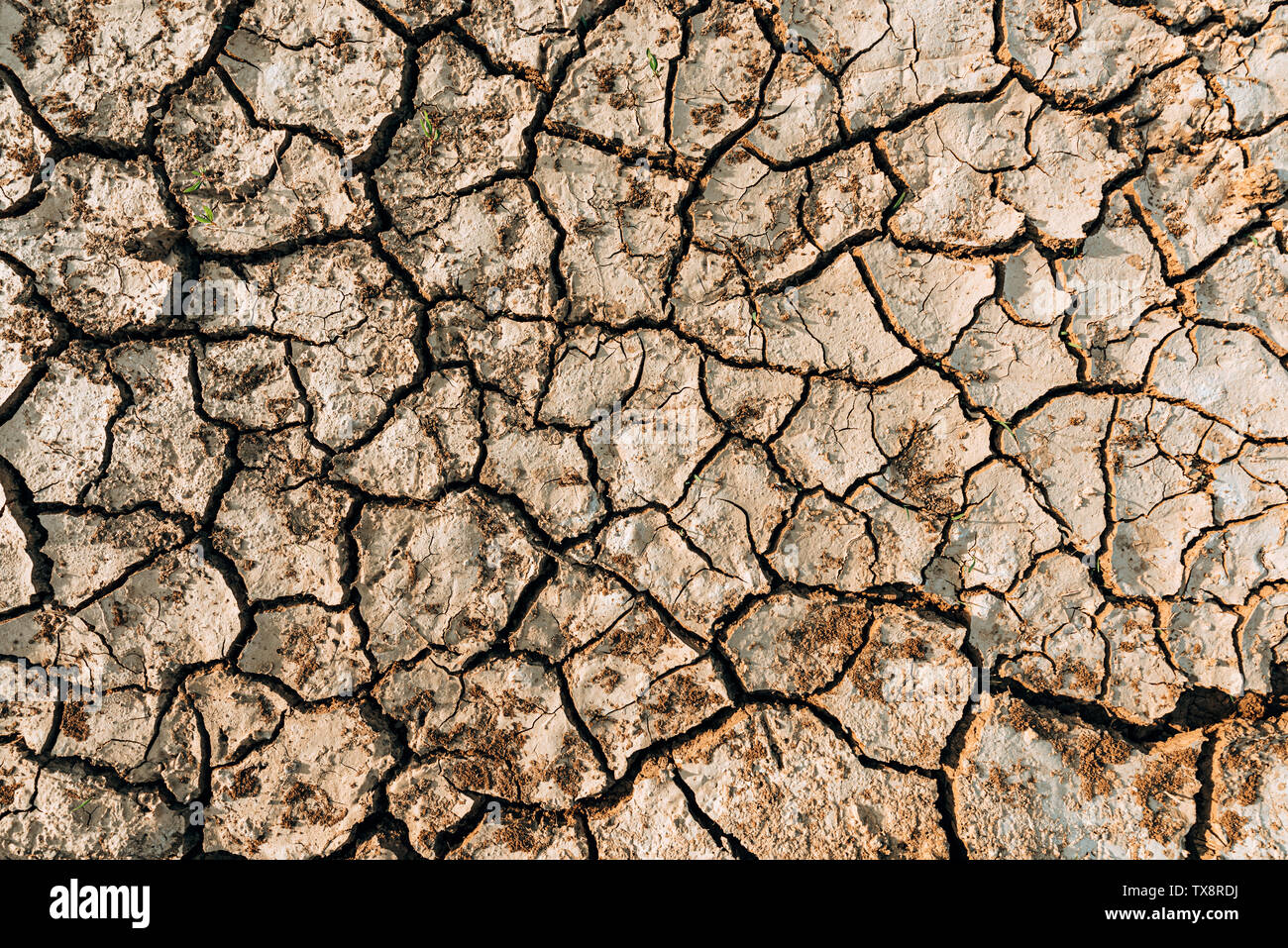 Dry desert land texture as background, top view of mud cracked land during drought season Stock ...