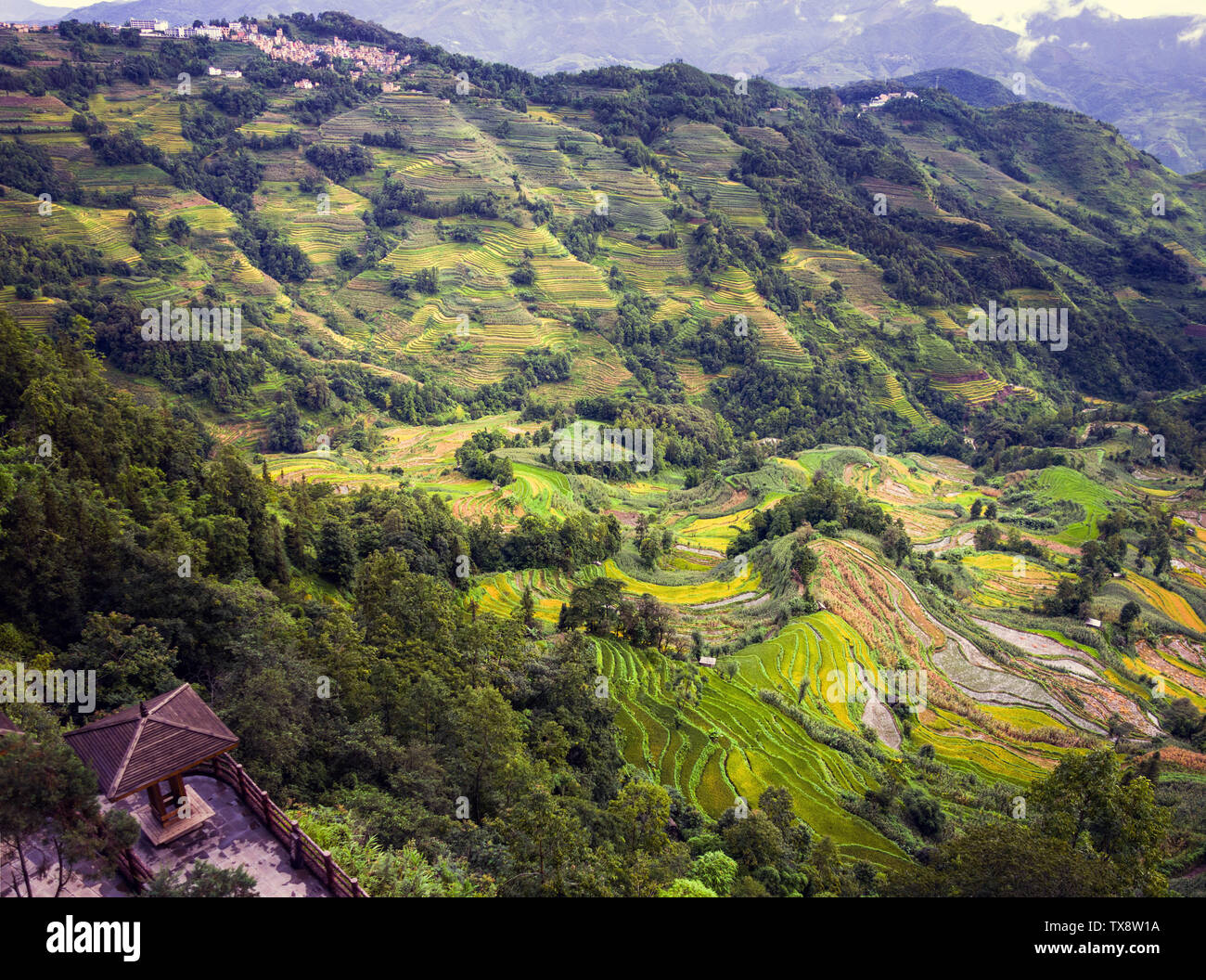 Ailao hi-res stock photography and images - Alamy