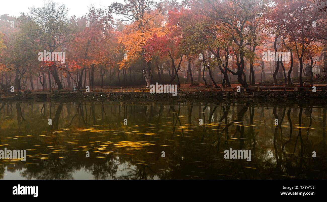 Suzhou garden evening hi-res stock photography and images - Alamy
