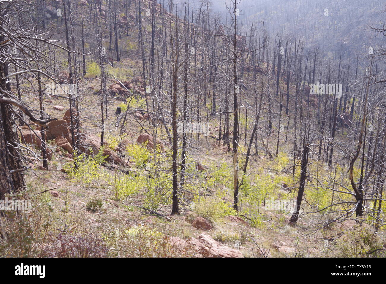 Western colorado fires hi-res stock photography and images - Alamy