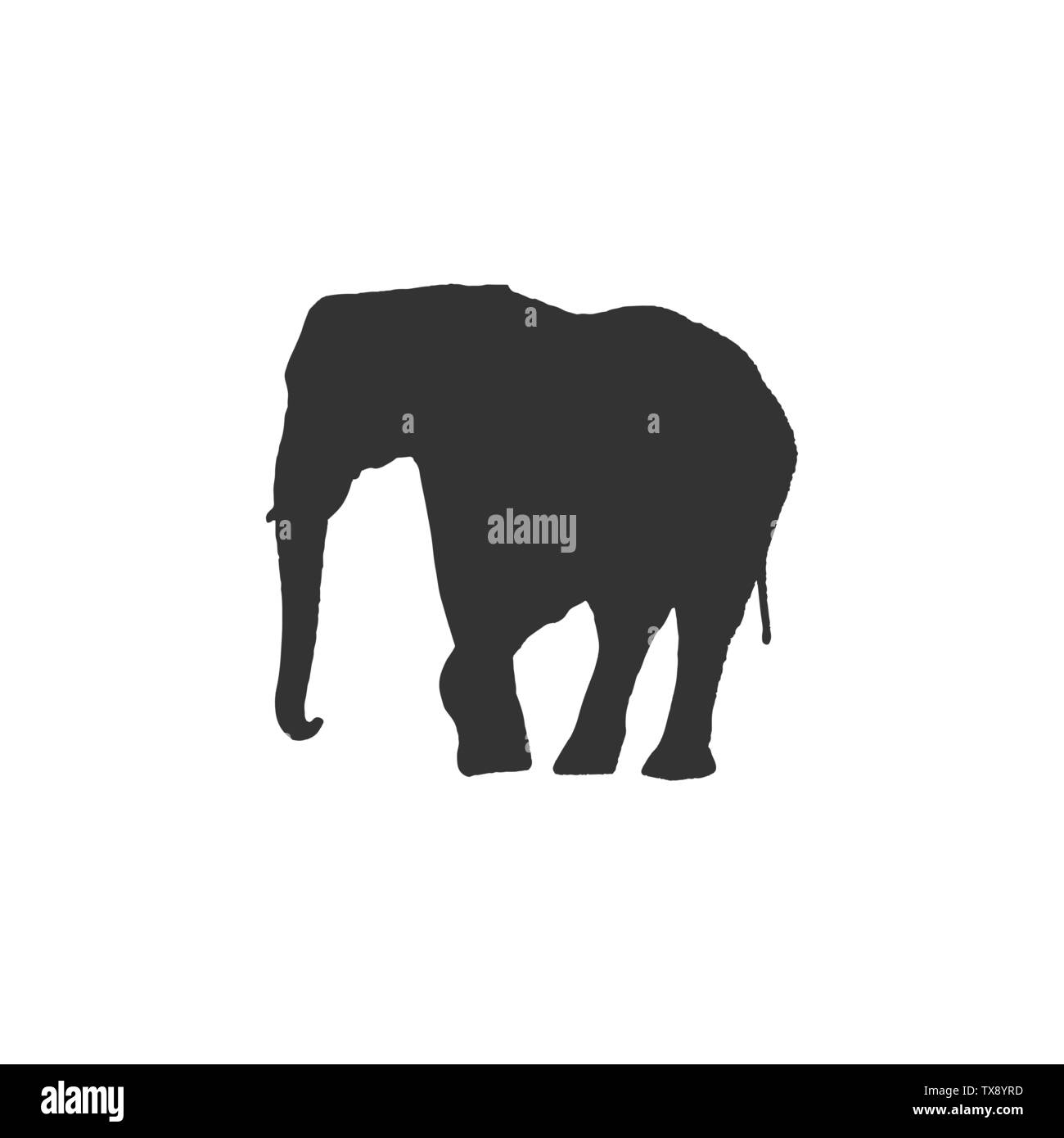 Elephant back head Stock Vector Images - Alamy
