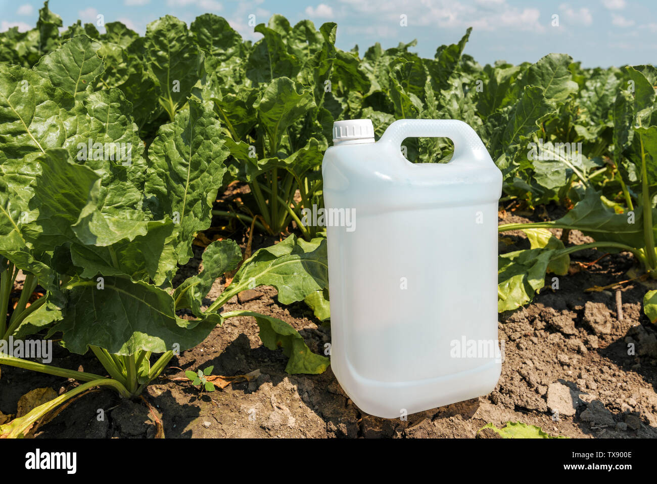 Sugar beet crop protection, blank pesticide jug as mock up in field ...
