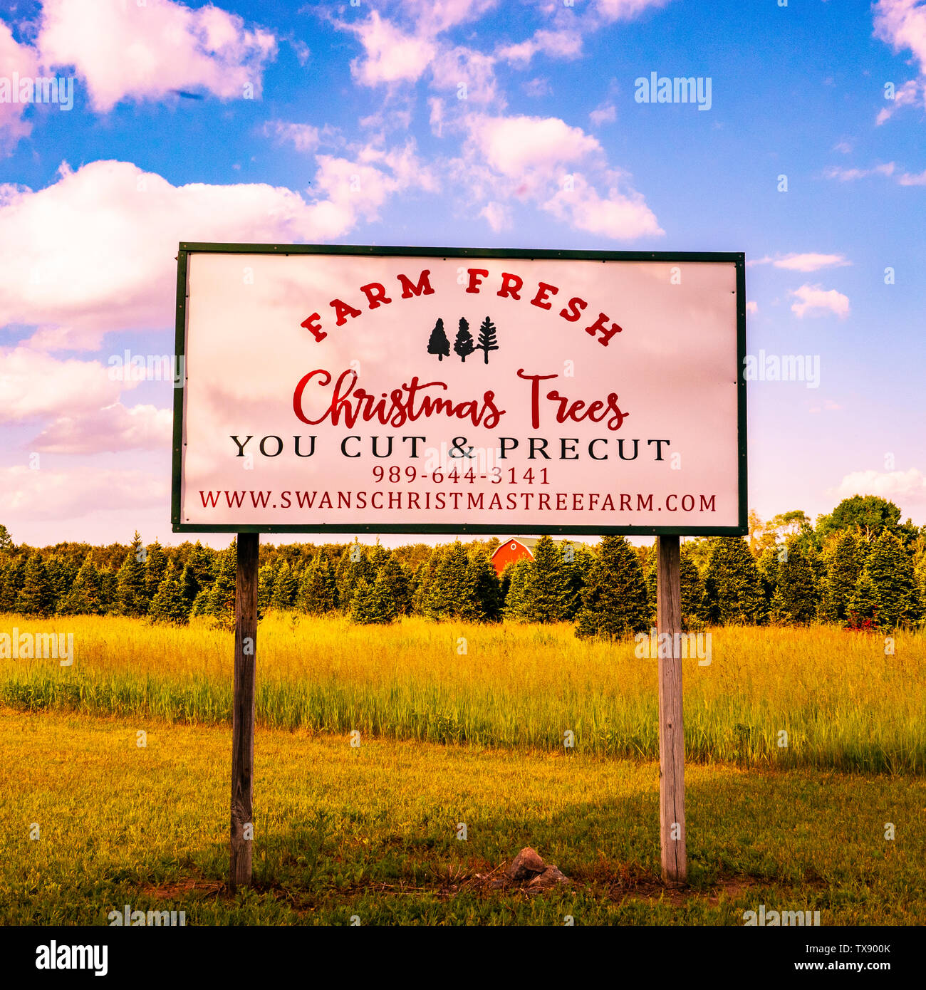 Rural christmas tree farm sign hi-res stock photography and images - Alamy