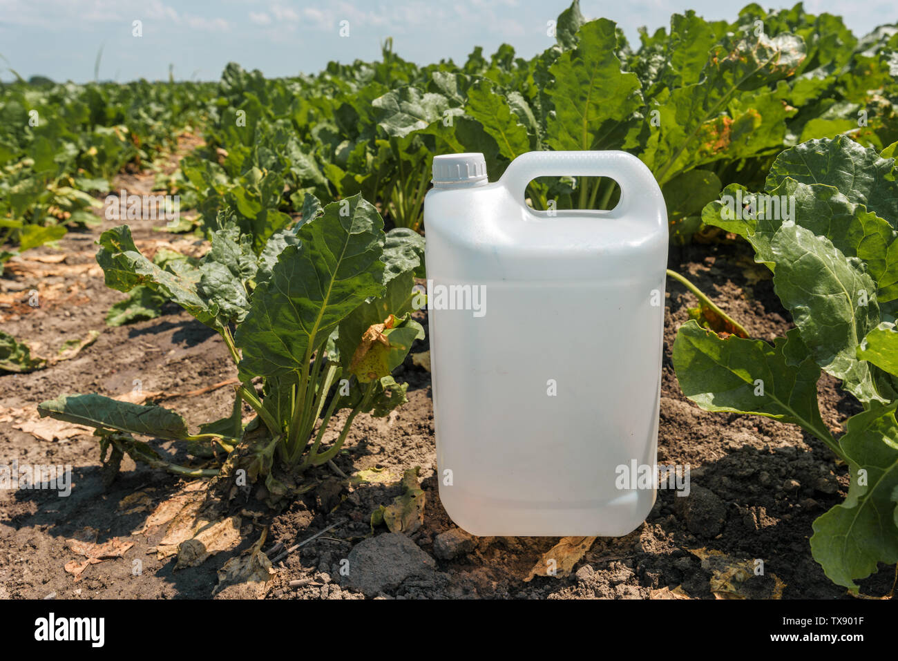 Blank field hi-res stock photography and images - Alamy