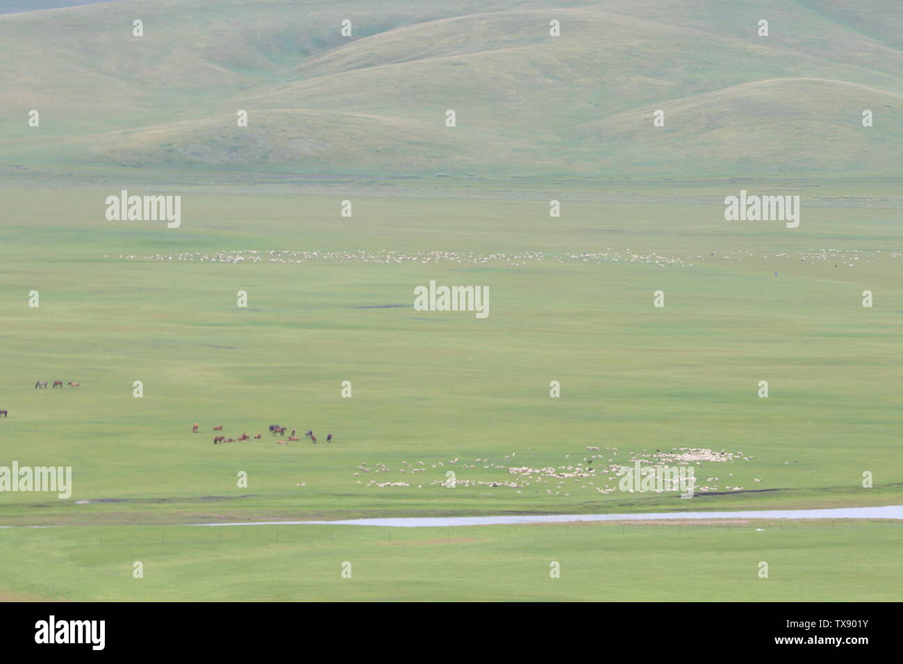 Erguna river erguna river wetland hi-res stock photography and images ...