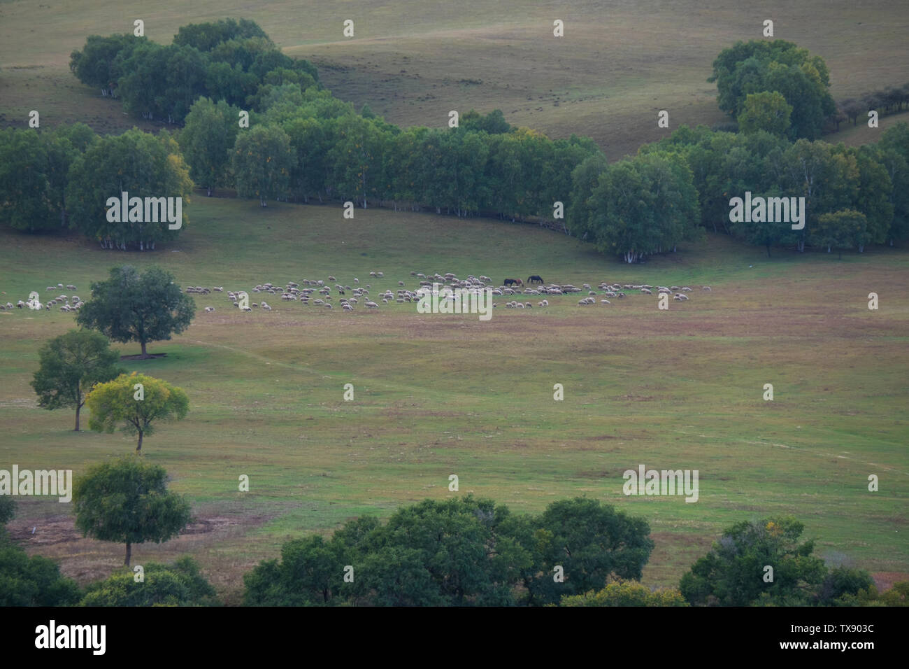 Rich green pastures hi-res stock photography and images - Alamy