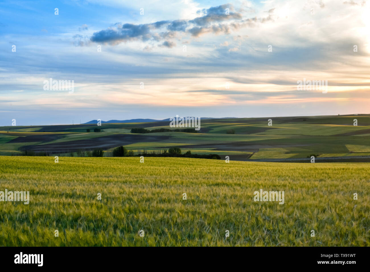 Freedom sensation hi-res stock photography and images - Alamy