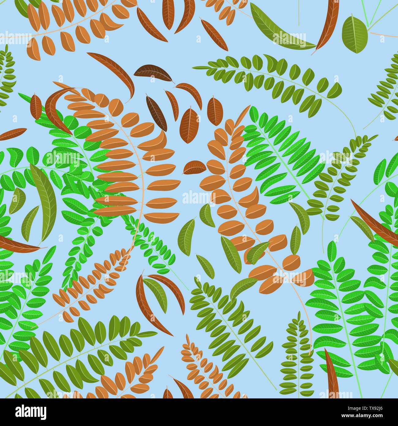 Seamless pattern with green and brown acacia leaves on light blue ...