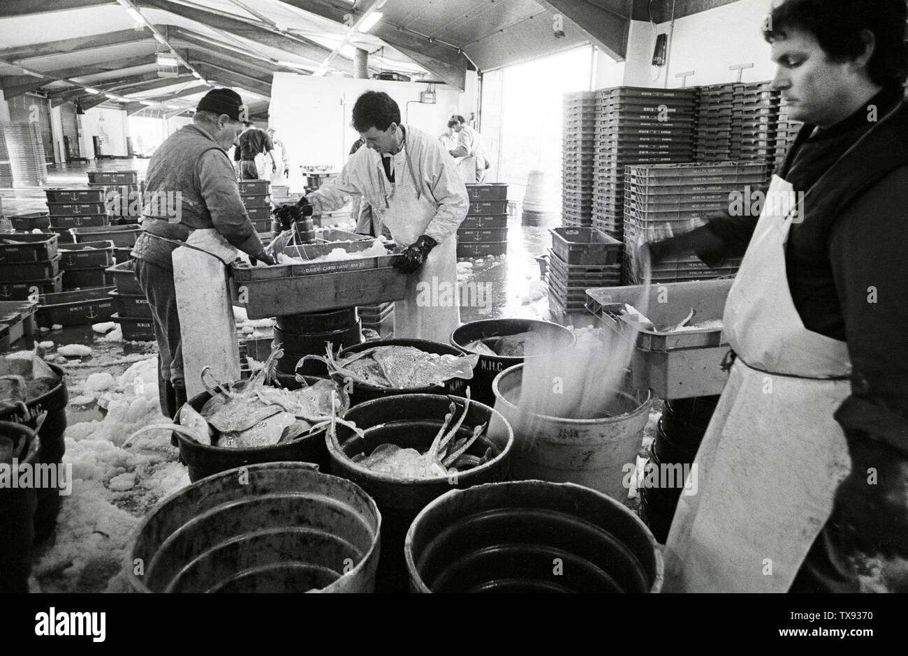 Newlyn fish market hi-res stock photography and images - Alamy