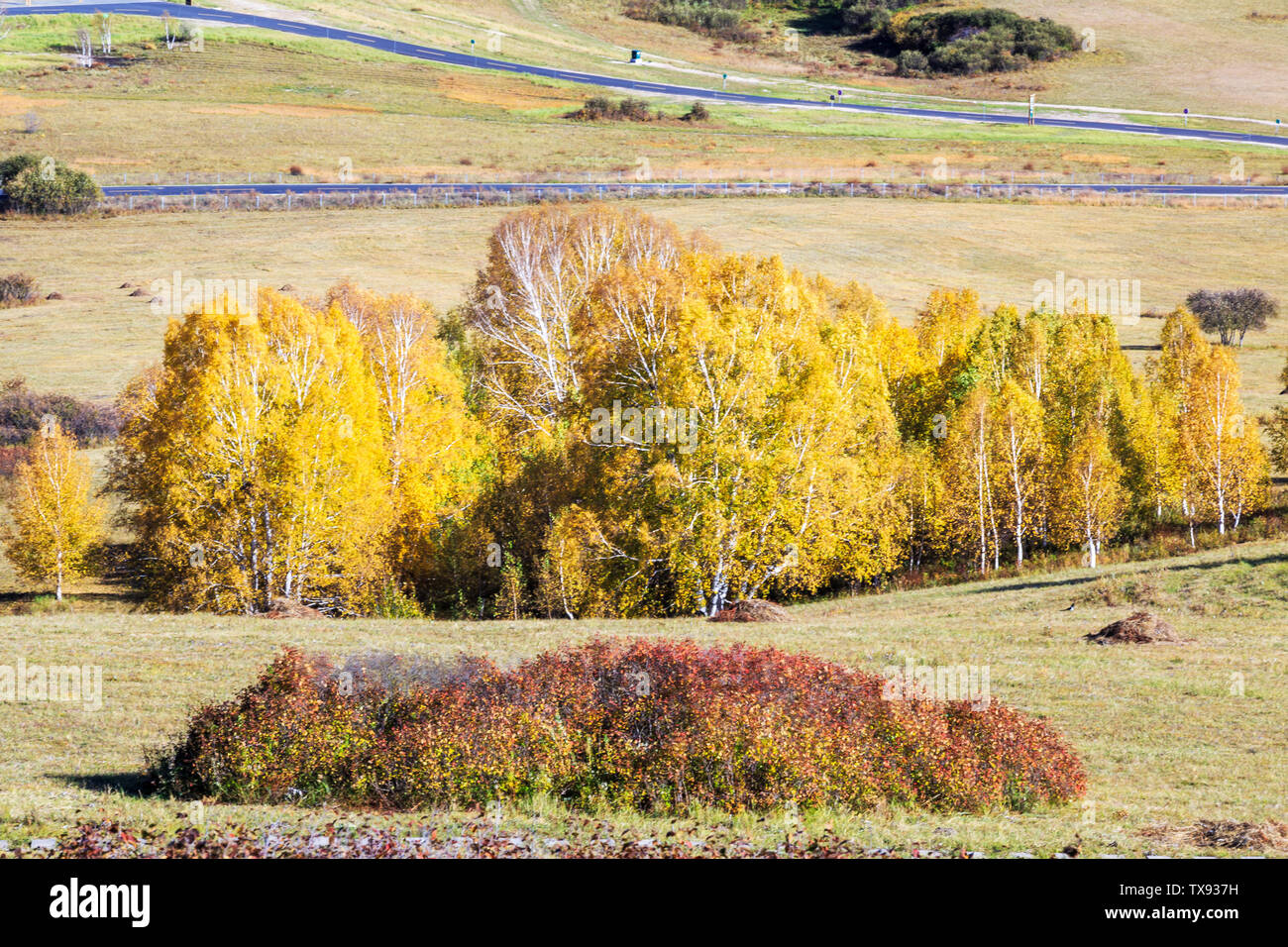 Autumn color on the dam. Paddock dam Yudaokou prairie forest scenic ...