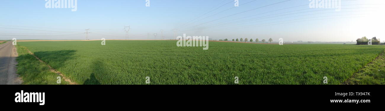 Mastaing hi-res stock photography and images - Alamy