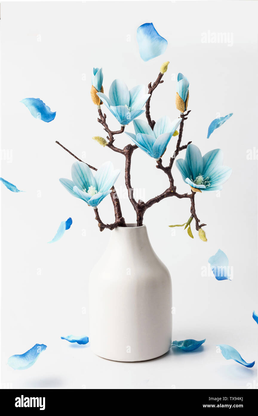 Magnolia butterflies flower hi-res stock photography and images - Alamy