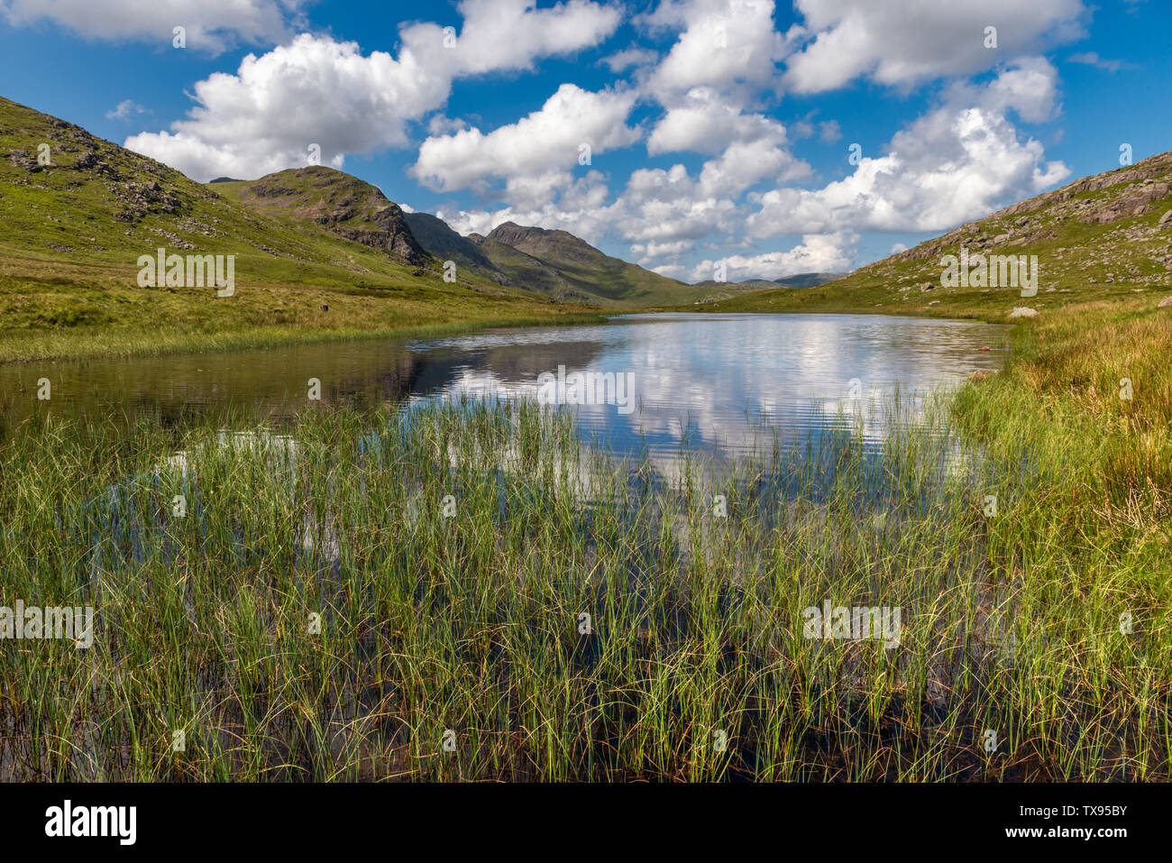 Red Tarn in The lake District Southern fells Stock Photo - Alamy