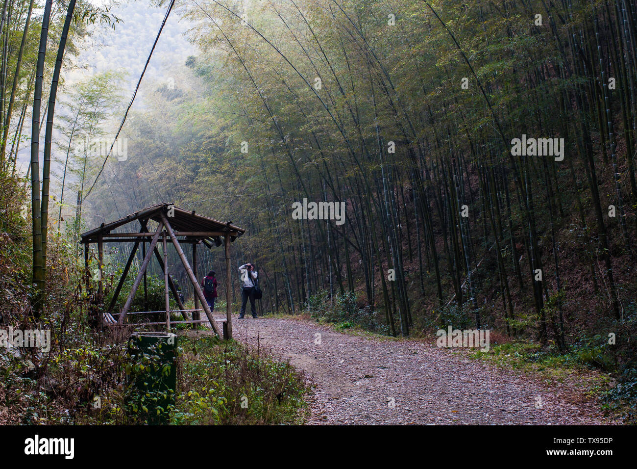 Kikai hi-res stock photography and images - Alamy