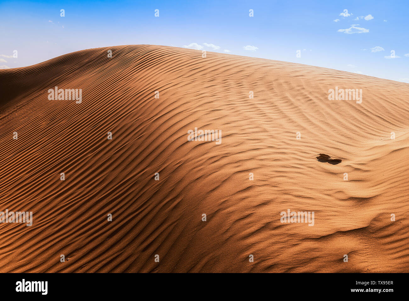 Desert sand dunes and sand sand no one is dry dry wasteland. Adventure ...