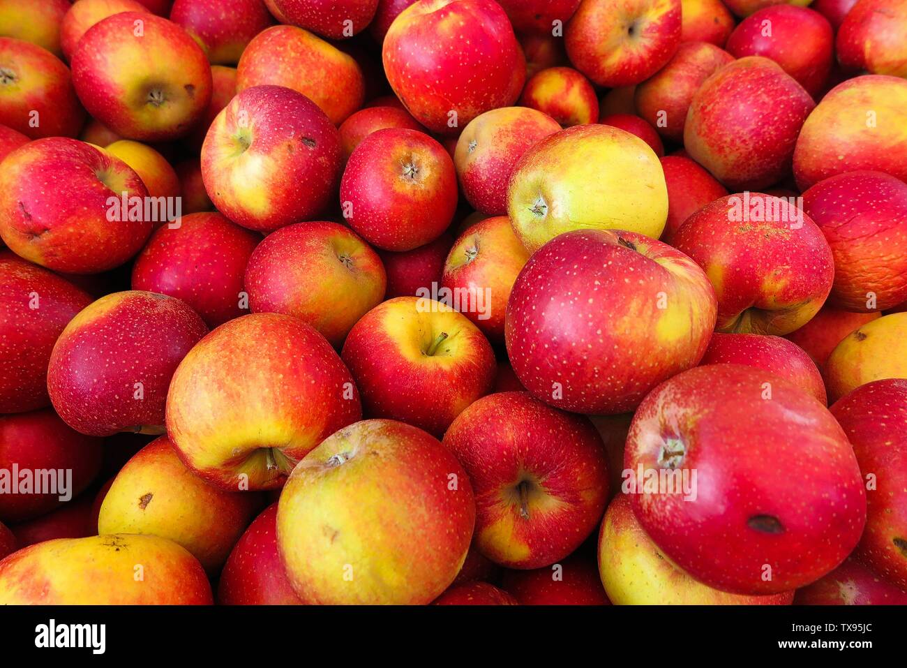 Wellant apples hi-res stock photography and images - Alamy
