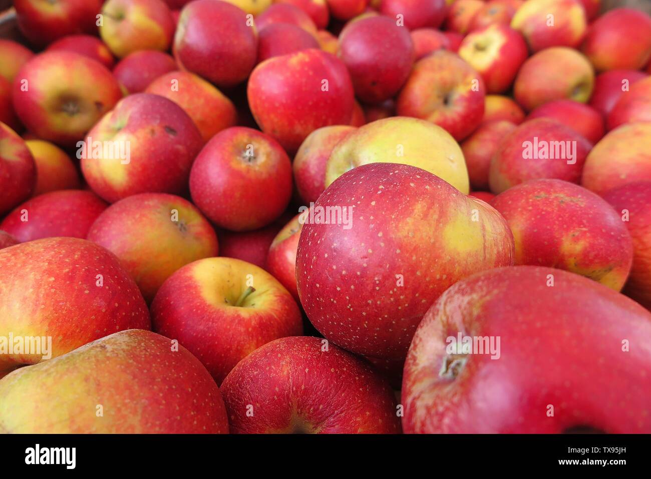 Wellant hi-res stock photography and images - Alamy