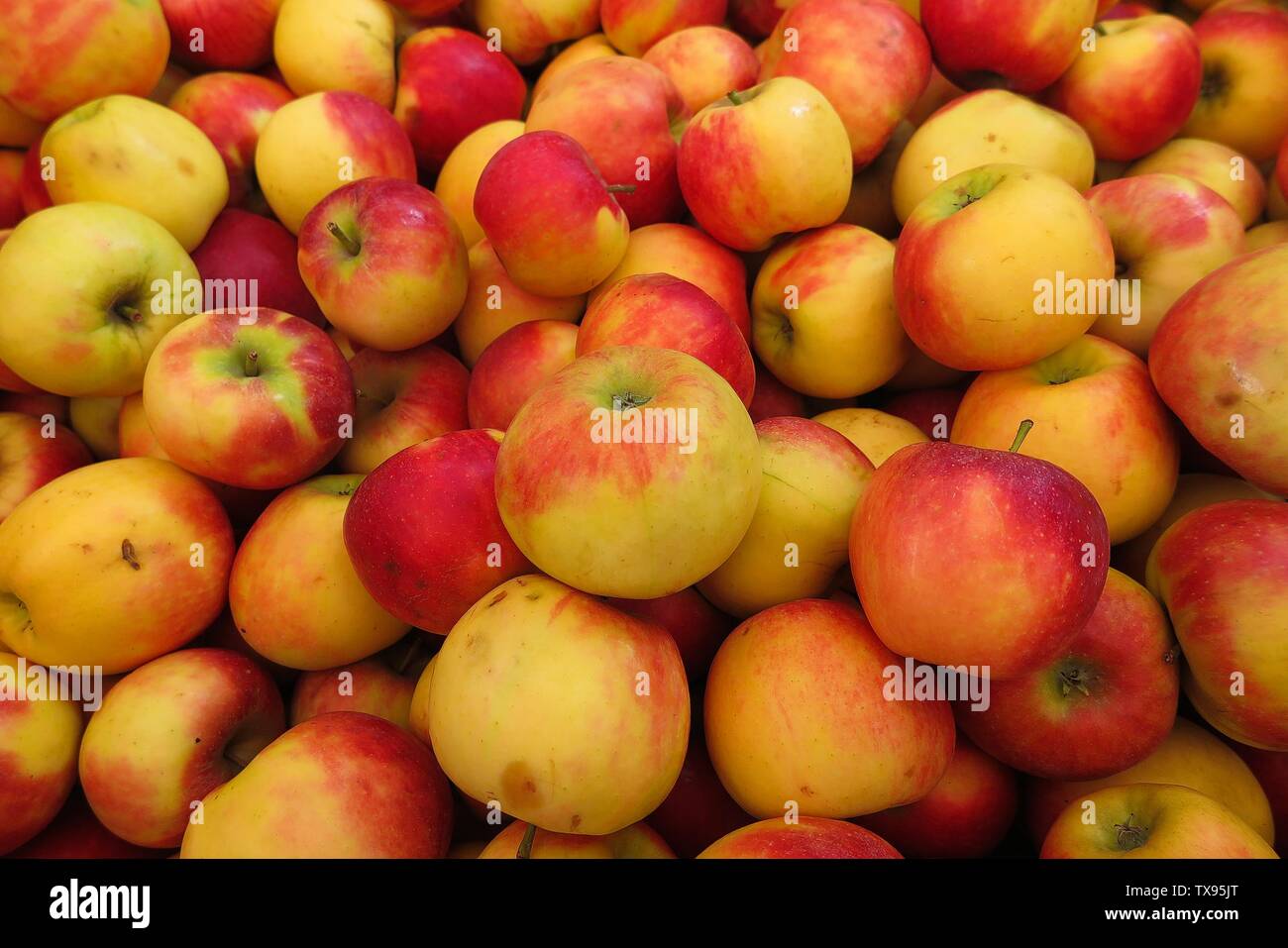 Wellant apples hi-res stock photography and images - Alamy
