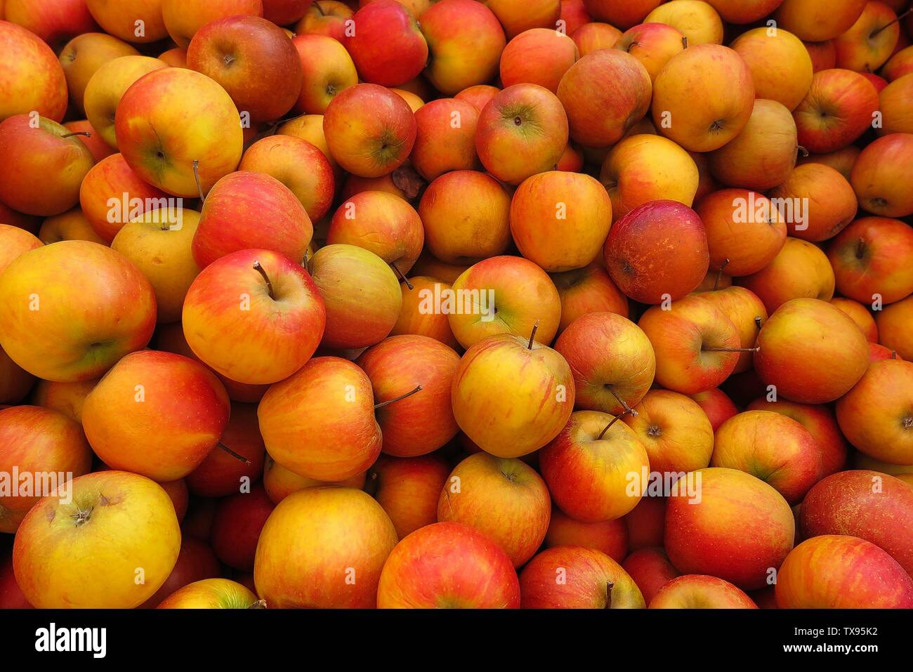 Wellant hi-res stock photography and images - Alamy