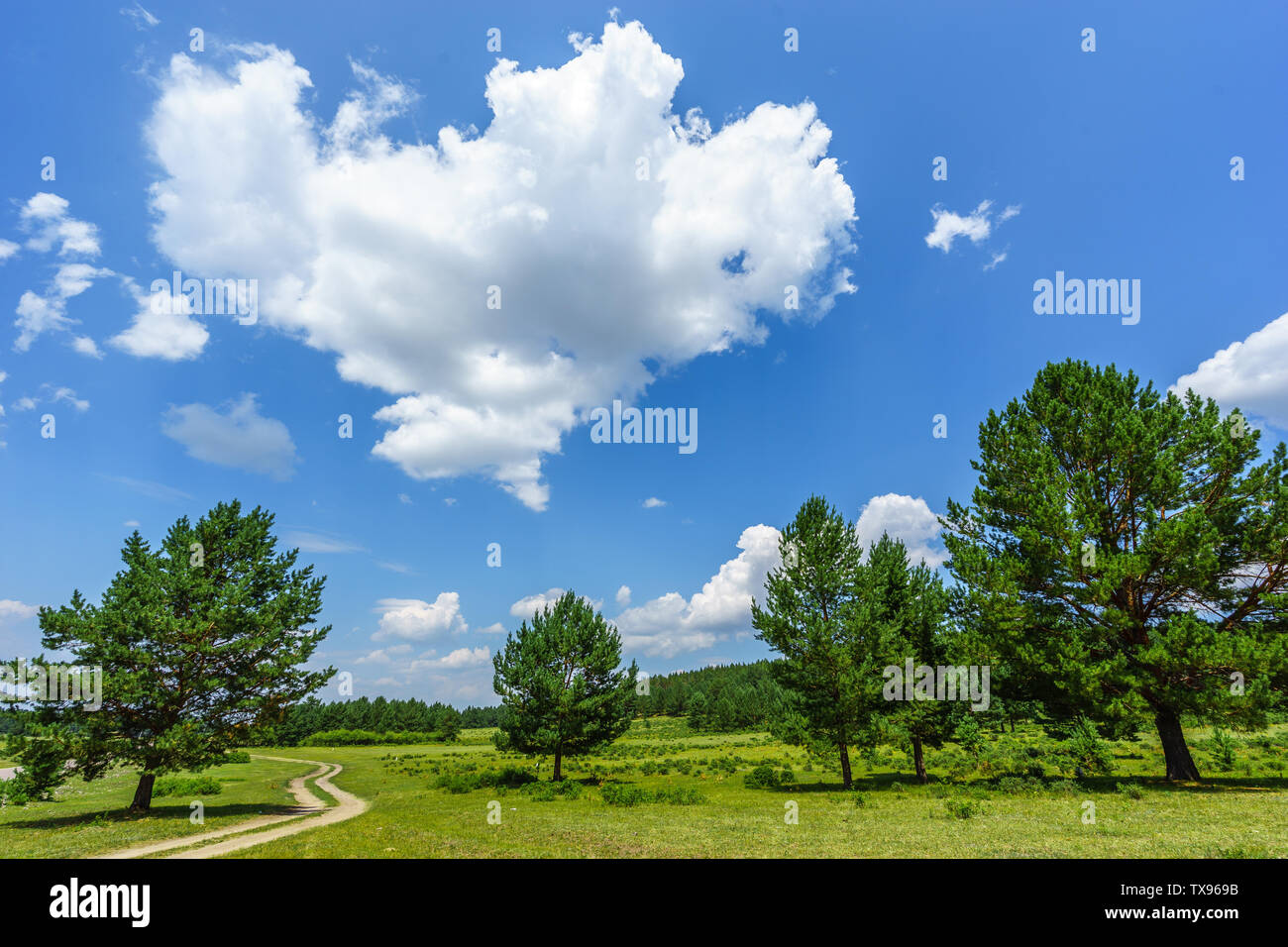 Inner Mongolia Prairie Stock Photo - Alamy