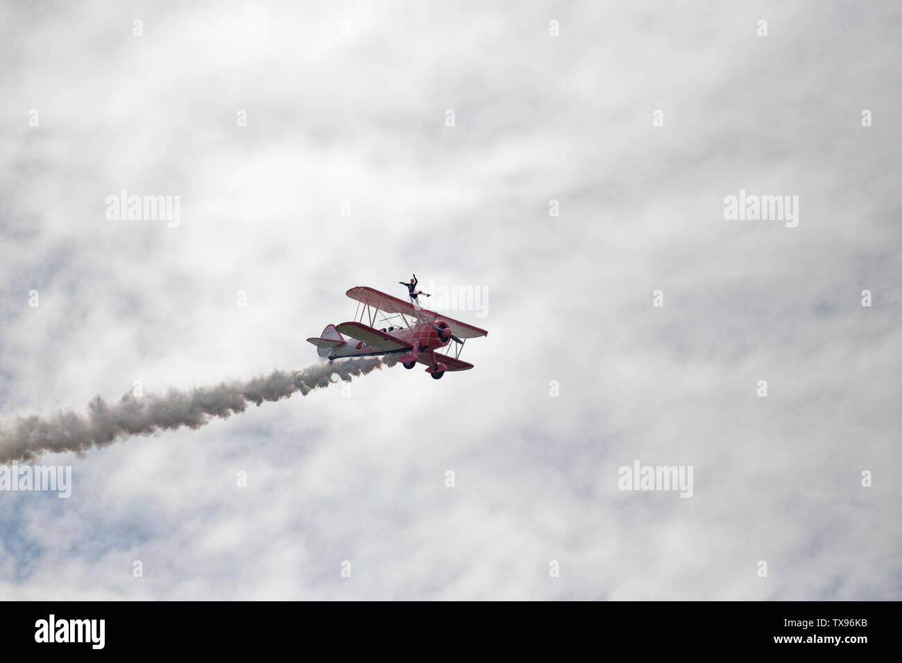 Danielle Del Buono High Resolution Stock Photography and Images - Alamy