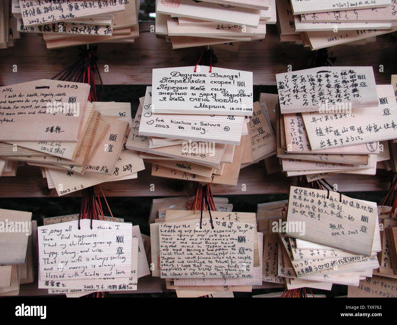 Hung From A Tree High Resolution Stock Photography and Images - Alamy