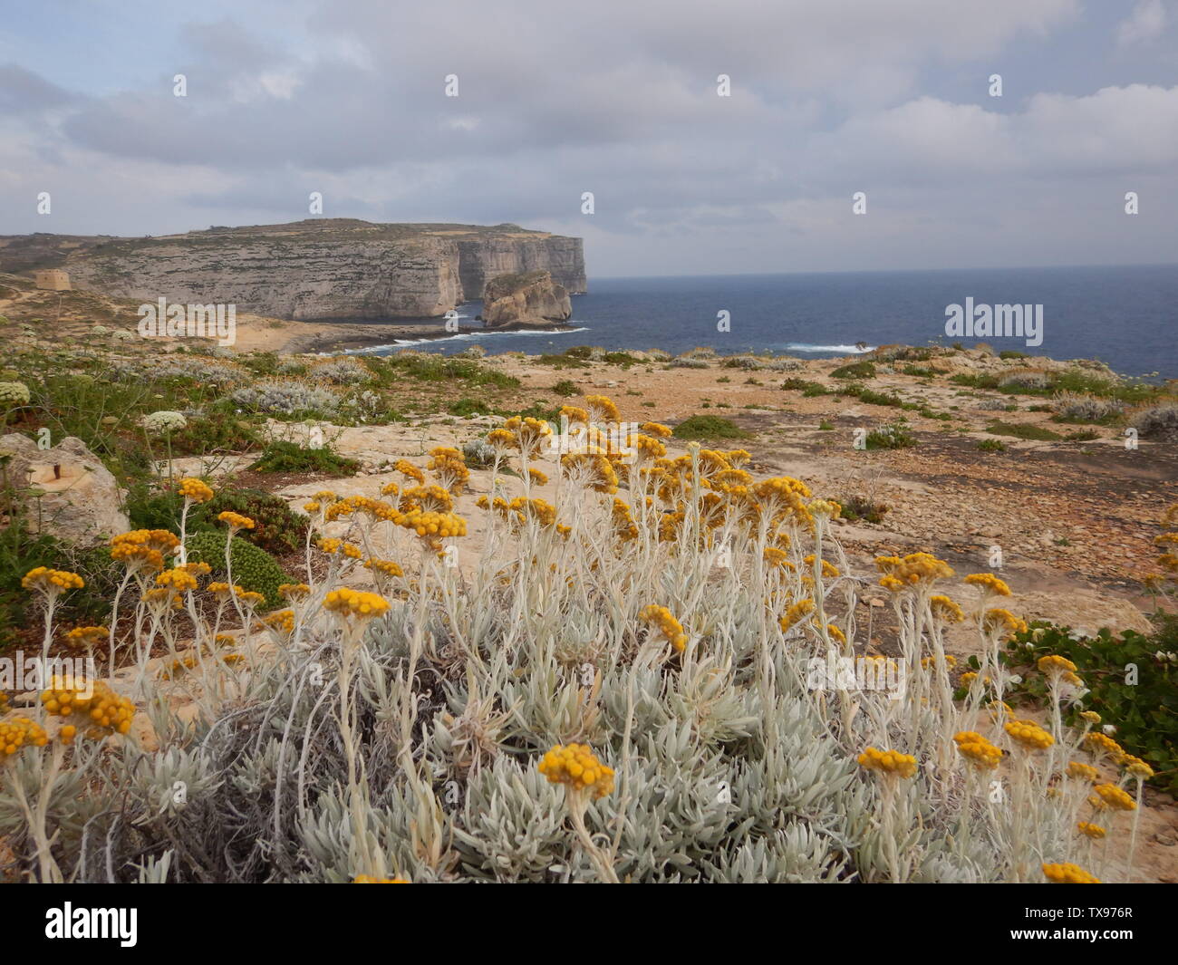 Fungus rock malta hi-res stock photography and images - Alamy