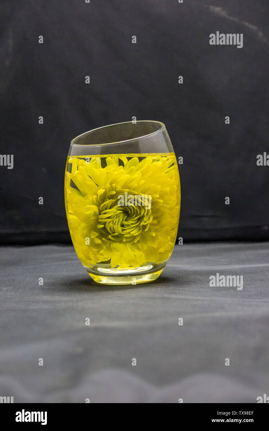 A cup of golden chrysanthemum tea Stock Photo - Alamy