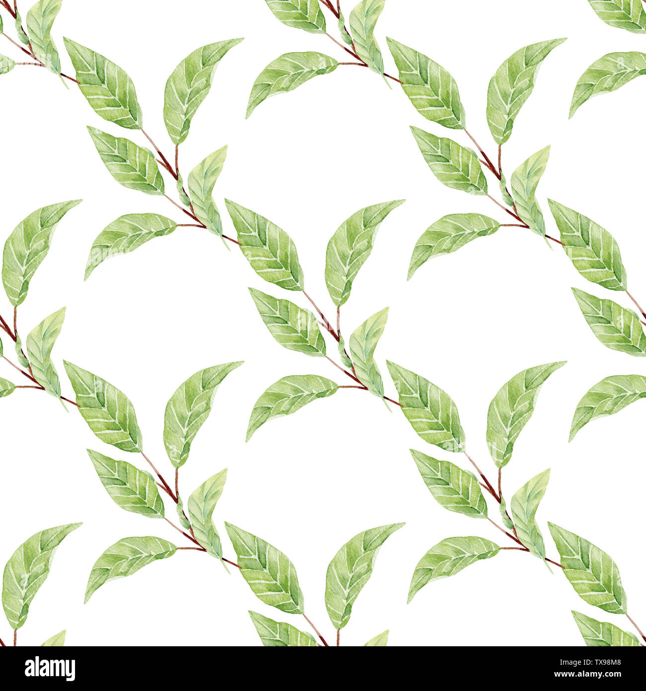 Magnolia leaves on branch hand drawn watercolor seamless pattern. Tree ...
