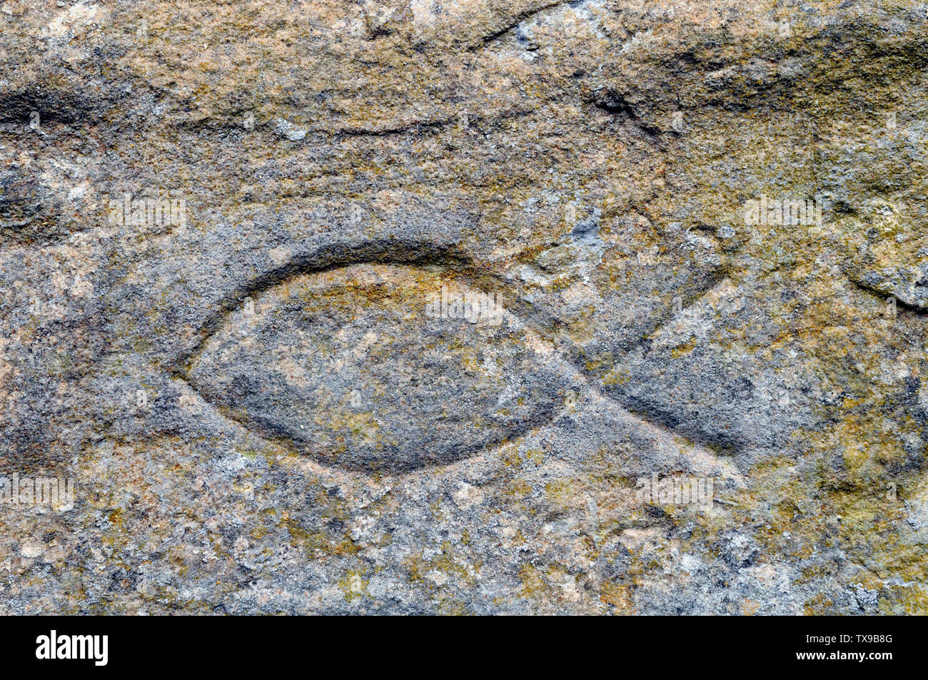 Christian fish symbol cave into the doorway of St Fillans Cave ...