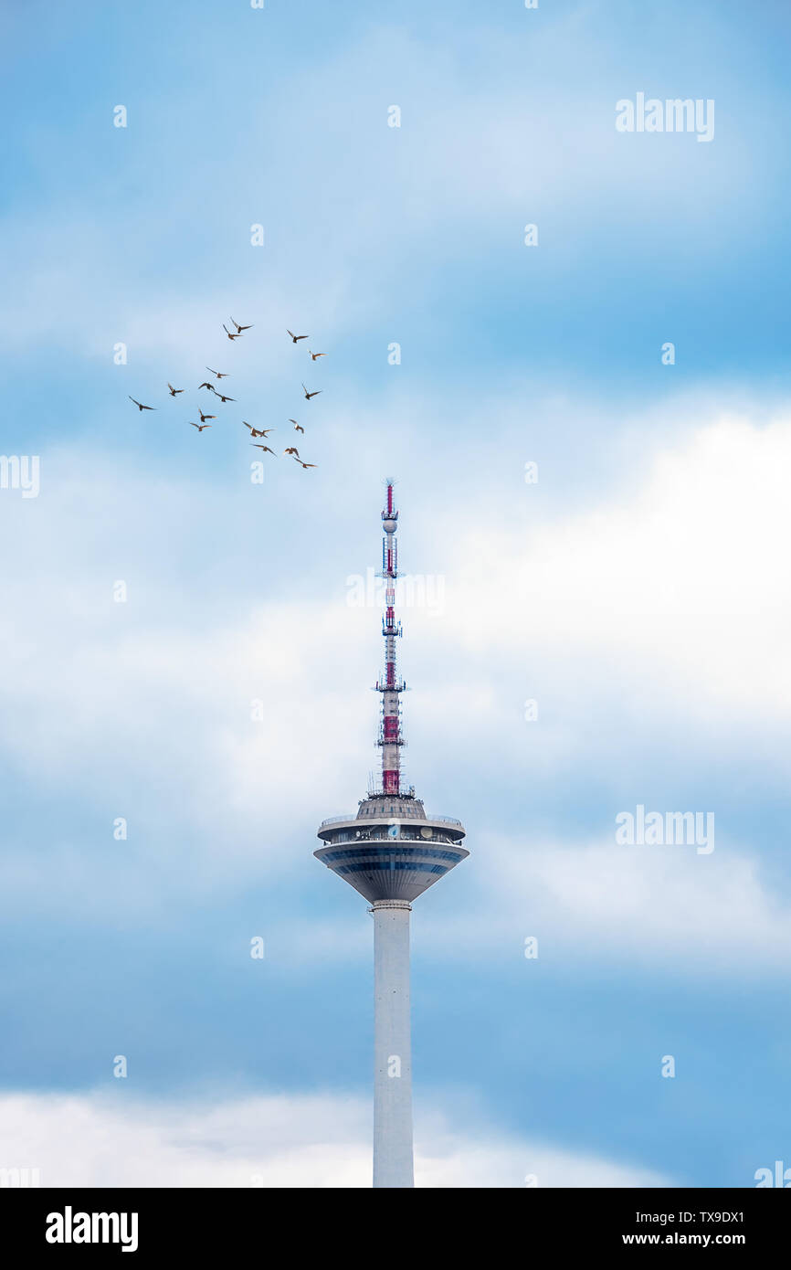Shenyang color TV tower Stock Photo - Alamy