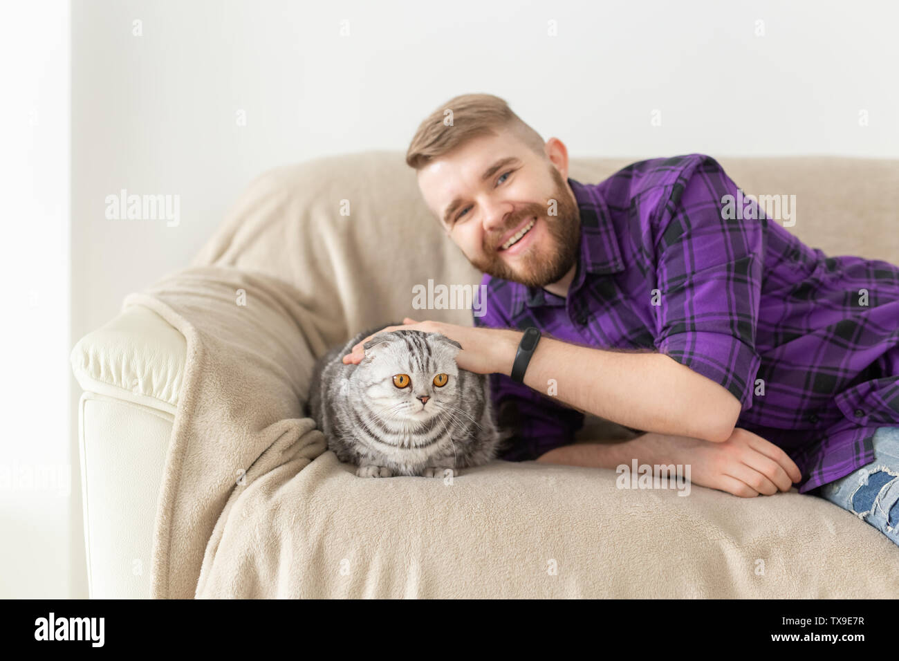 Stylish young bearded man hipster stroking his beautiful gray scottish ...
