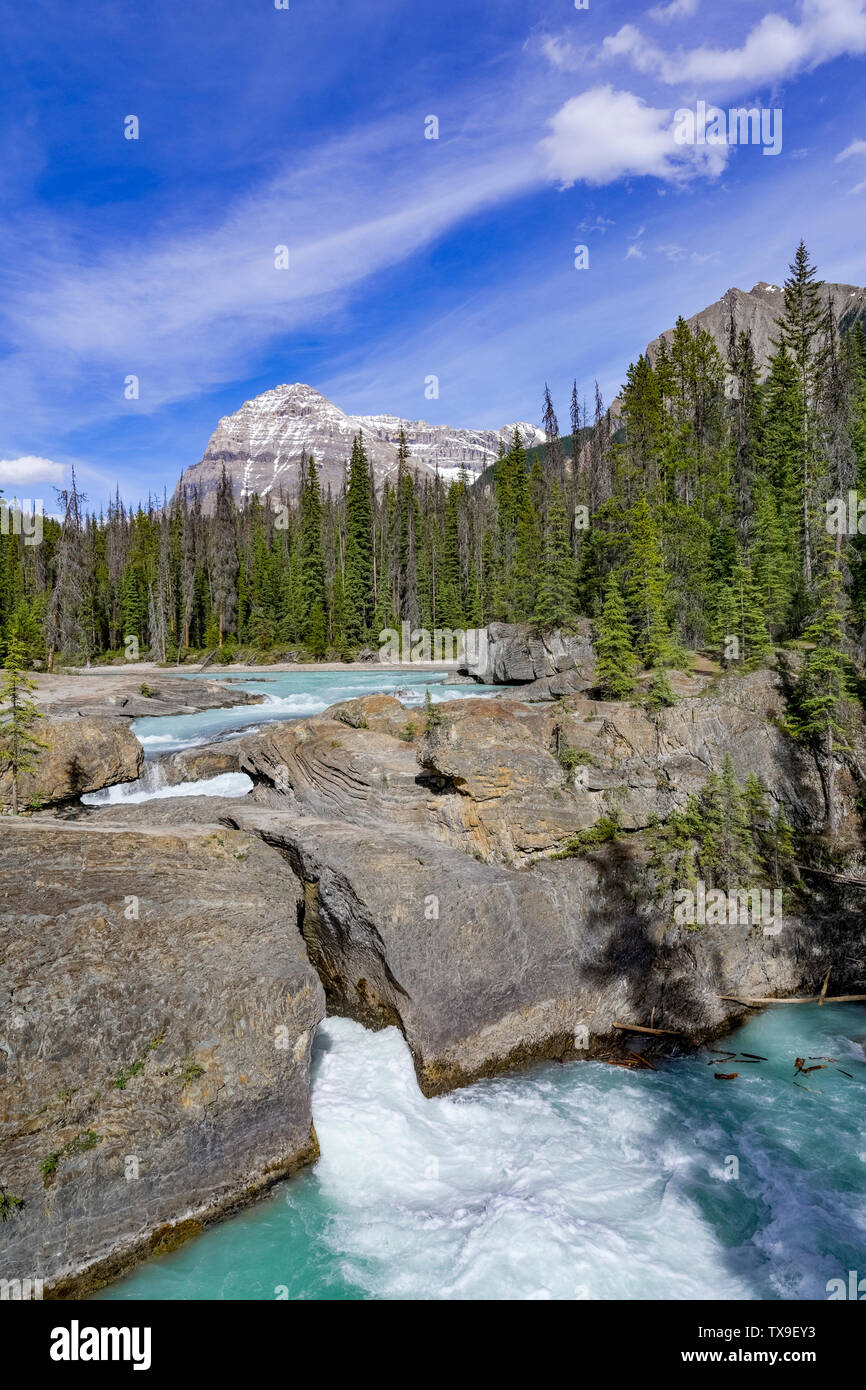 Yoho natural bridge hi-res stock photography and images - Alamy