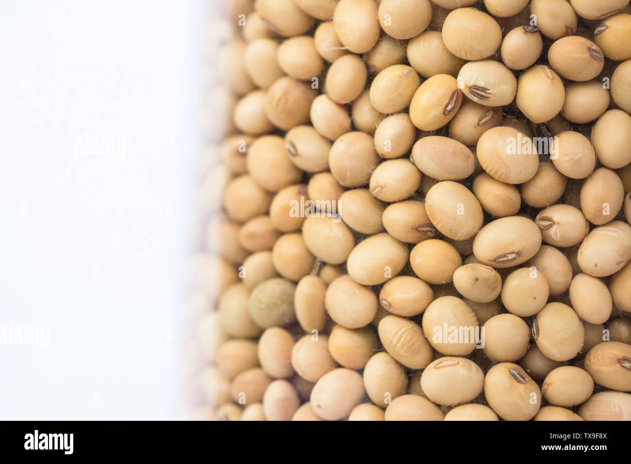 Close up indoor soybean cereals hi-res stock photography and images - Alamy