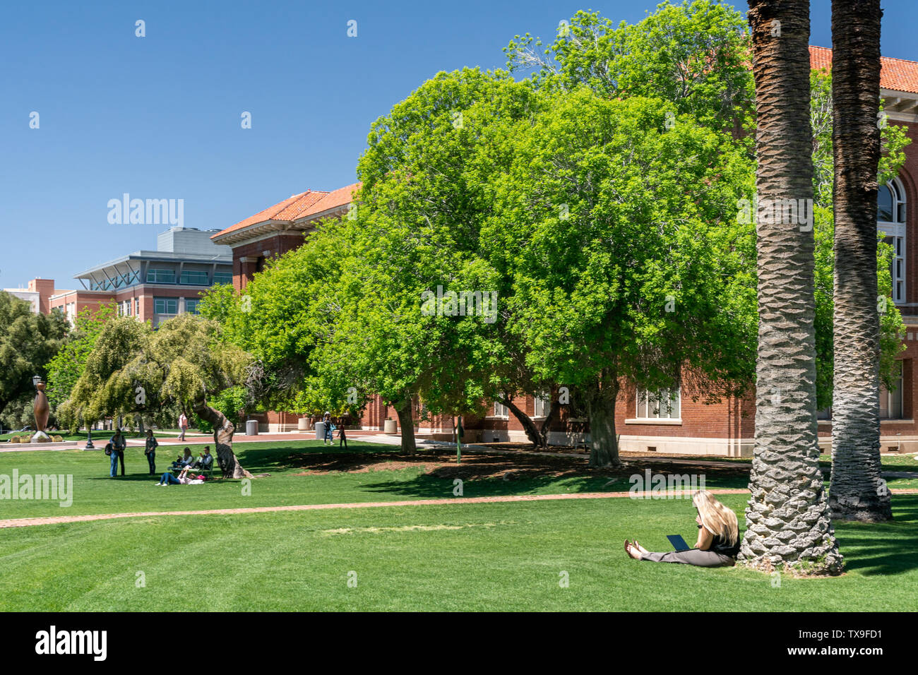 University of arizona tucson campus hi-res stock photography and images ...