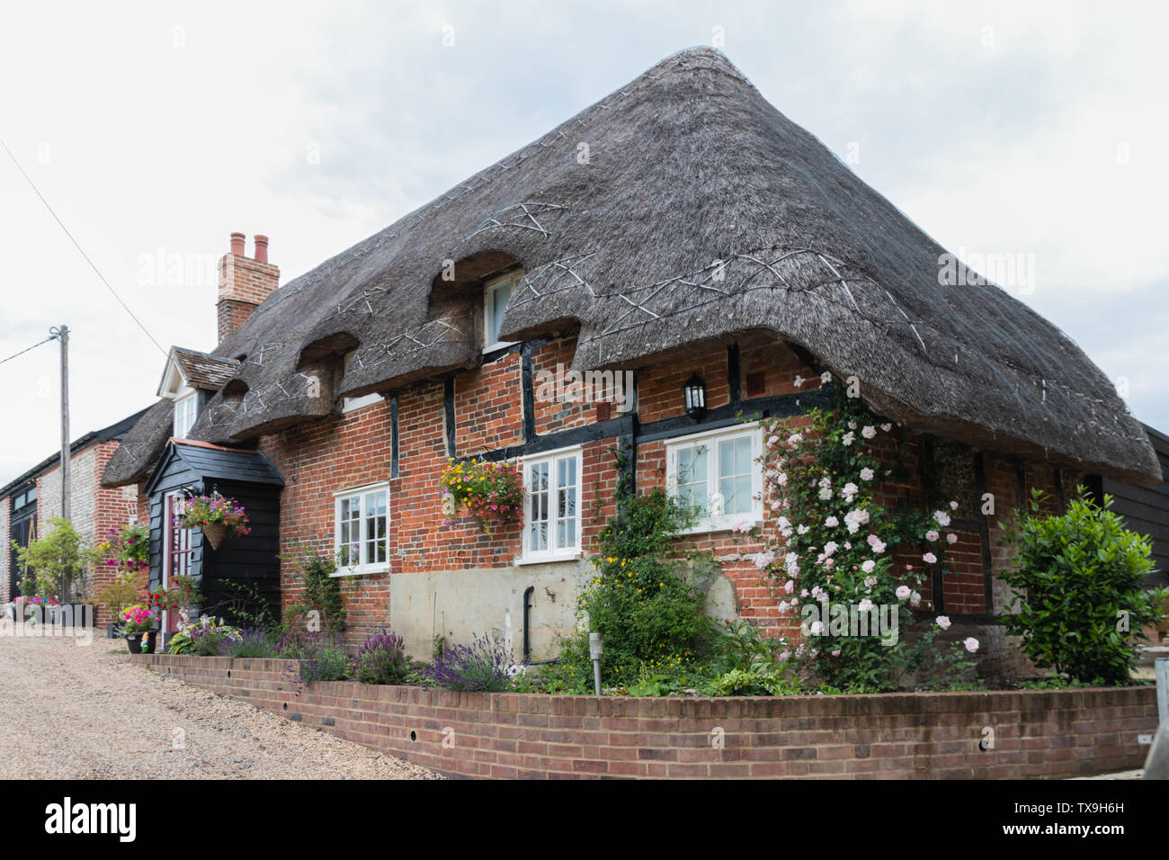 A traditional English thatched cottage Stock Photo - Alamy
