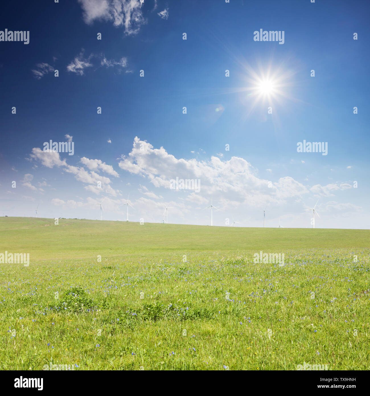Grassfield under sunshine Stock Photo - Alamy